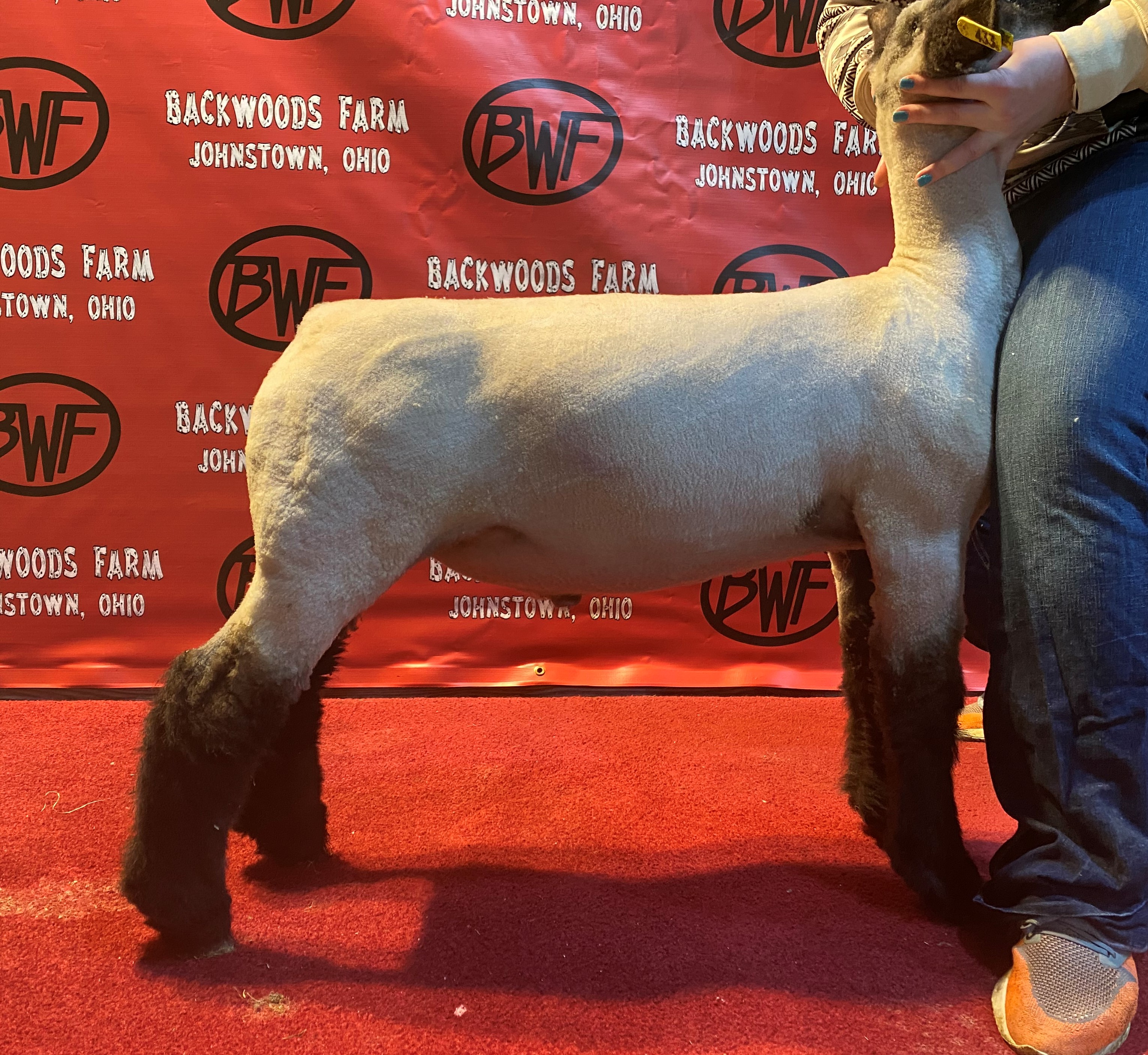 433 (3) – Backwoods Farm