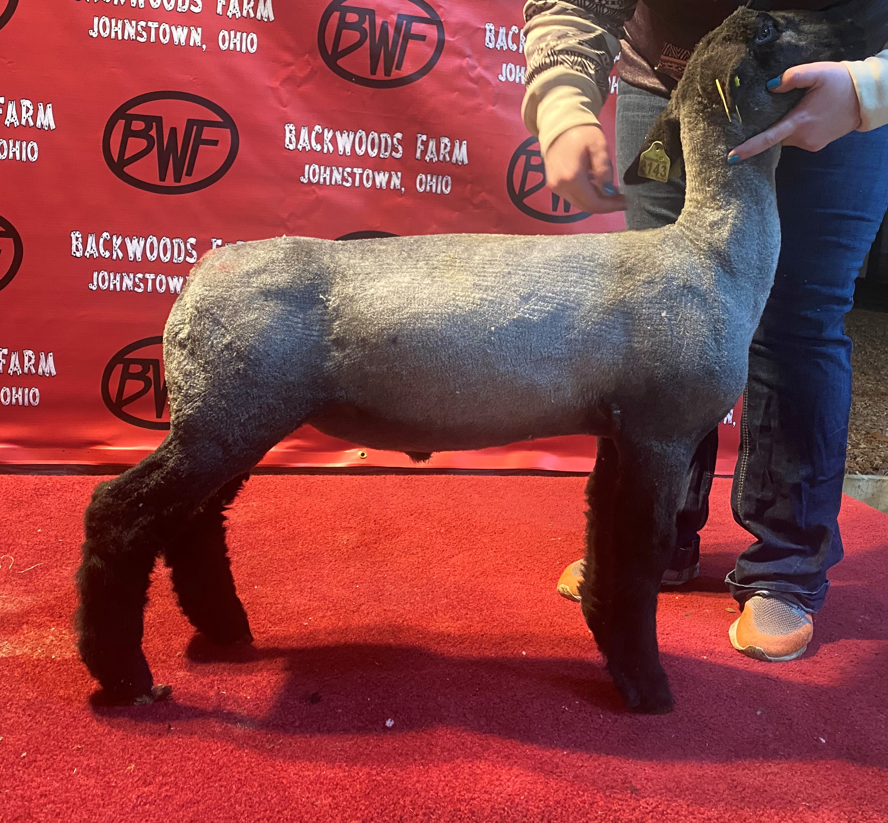 435 (2) – Backwoods Farm